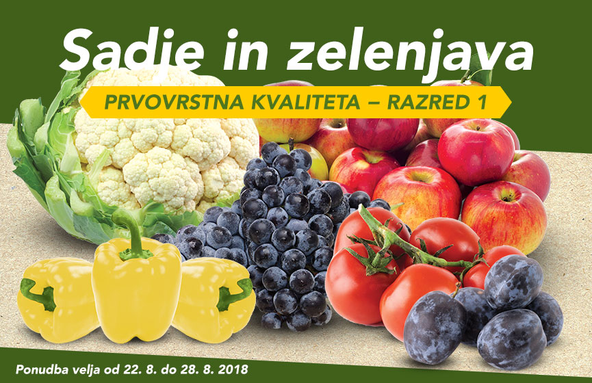 E.Leclerc Slovenija - E.Leclerc Ljubljana in Maribor